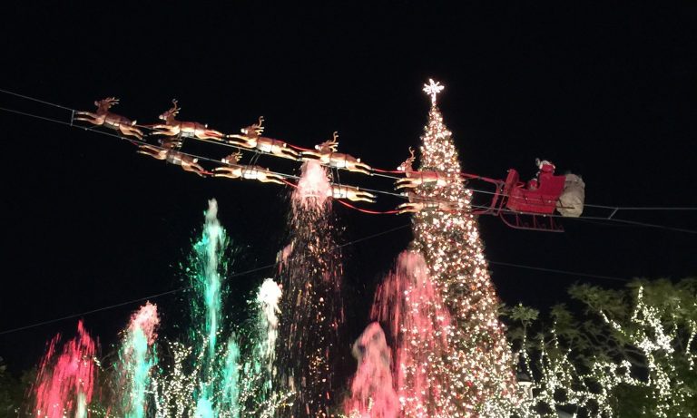 Santa's Sleigh and Reindeer | Historical Origins and Christmas Traditions