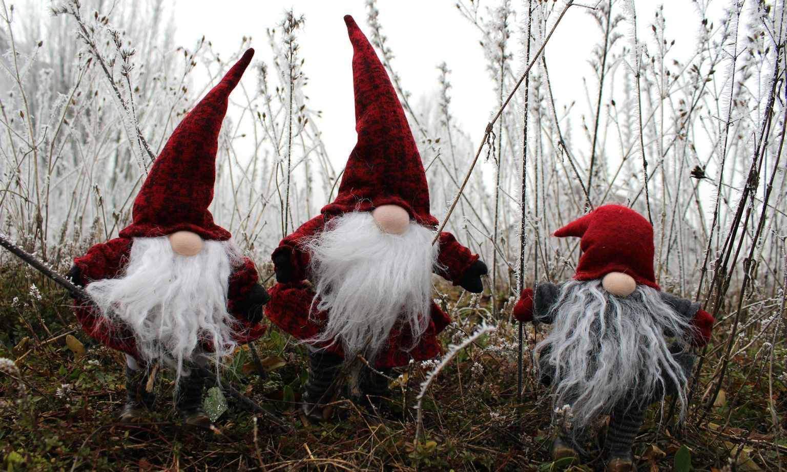 How Big Would Life-size Christmas Elves Be, Really?